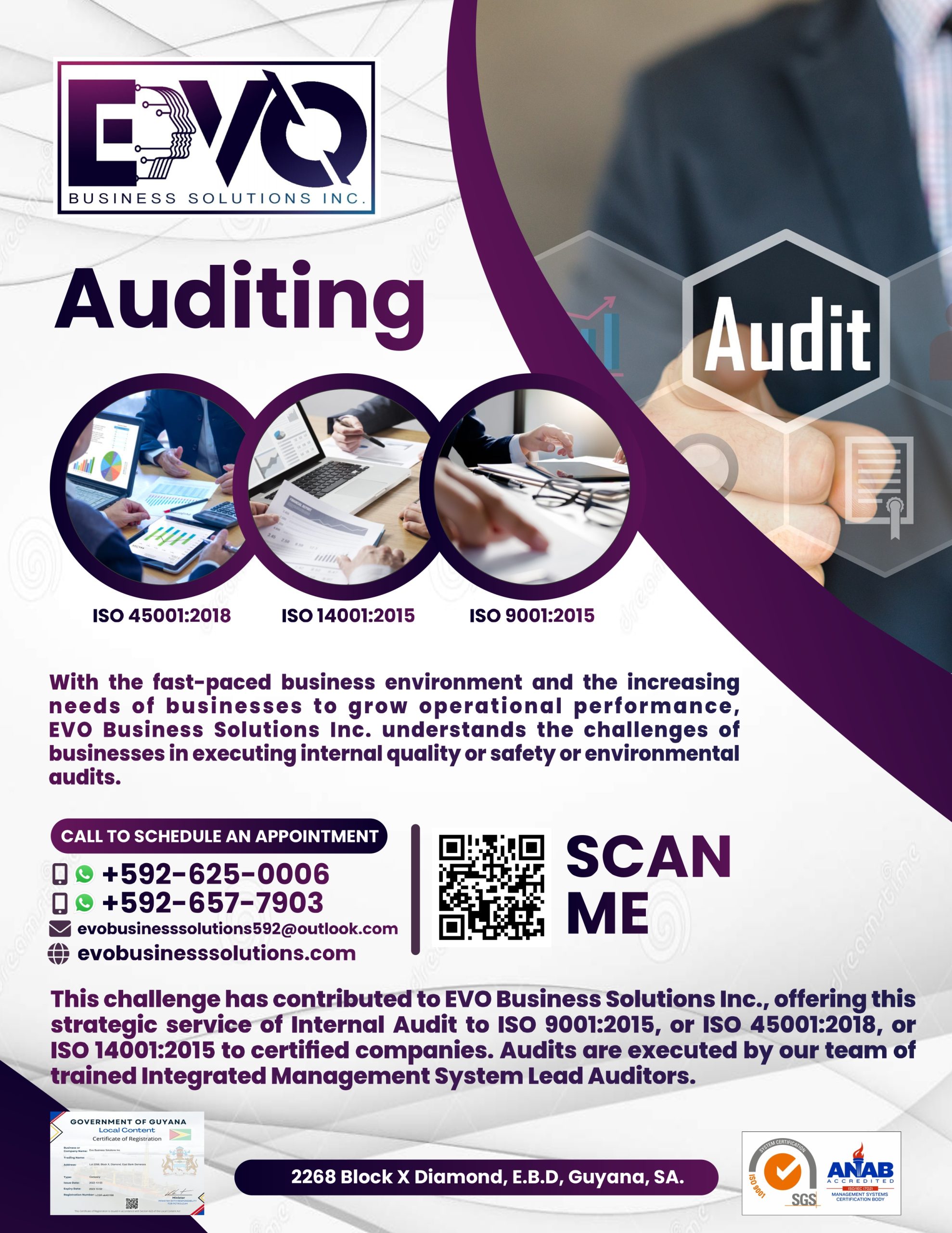 Auditing – EVO Business Solutions Inc.