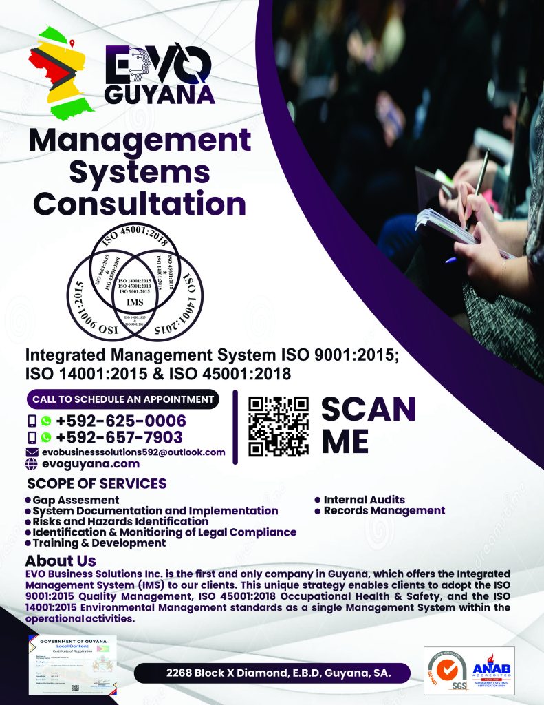 Management Systems Consultation – EVO Business Solutions Inc.